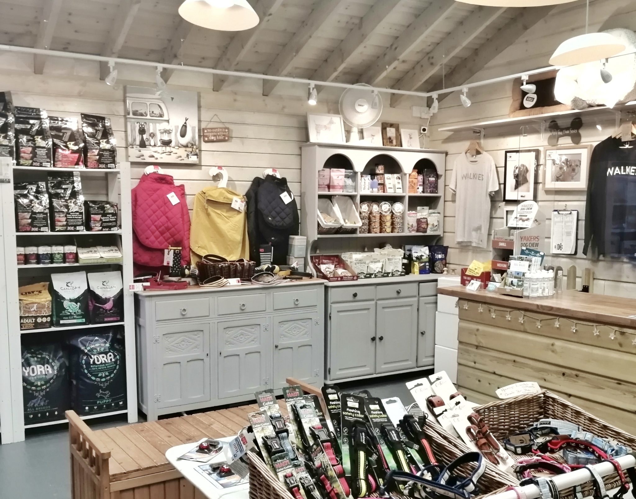 Paws in Padstow | Dog Boutique in Cornwall